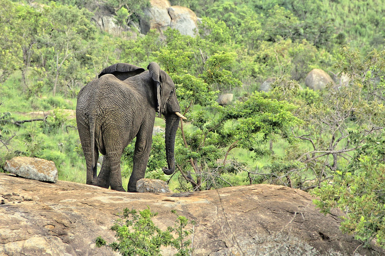 【PostgreSQL 10/11】異なるメジャーバージョン間でのロジカルレプリケーションを検証してみた (その2) | SIOS Tech. Lab