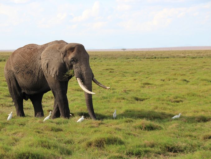 PostgreSQL の文字列型についてまとめてみた | SIOS Tech. Lab